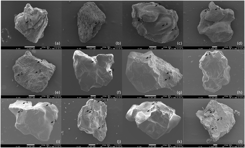 Figure 9. Scanning Electron Microphotographs of quartz grains; (a ...