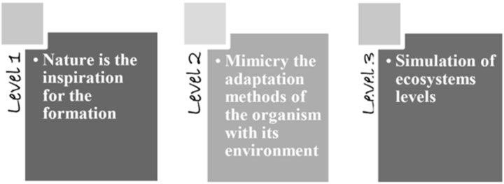 Figure 3. Levels of biomimicry : Inspiration from Nature: Biomimicry as ...