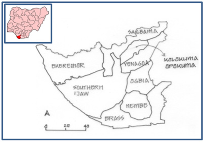 Figure 1. Map of Bayelsa State showing the eight Local Government Areas ...