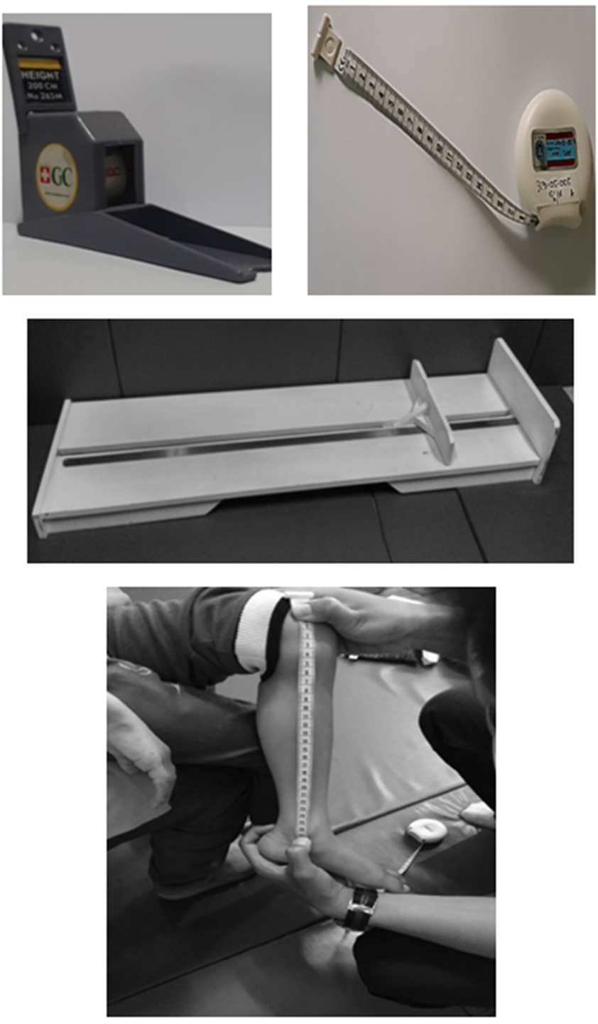 Figure 1. Tools and procedures of tibia length measurement performed in ...