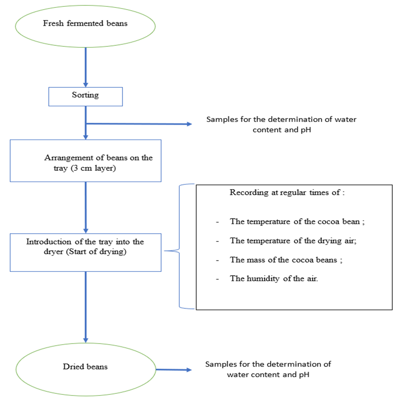 Figure 2. Experimental protocol : Setting up a Process for Drying Cocoa ...