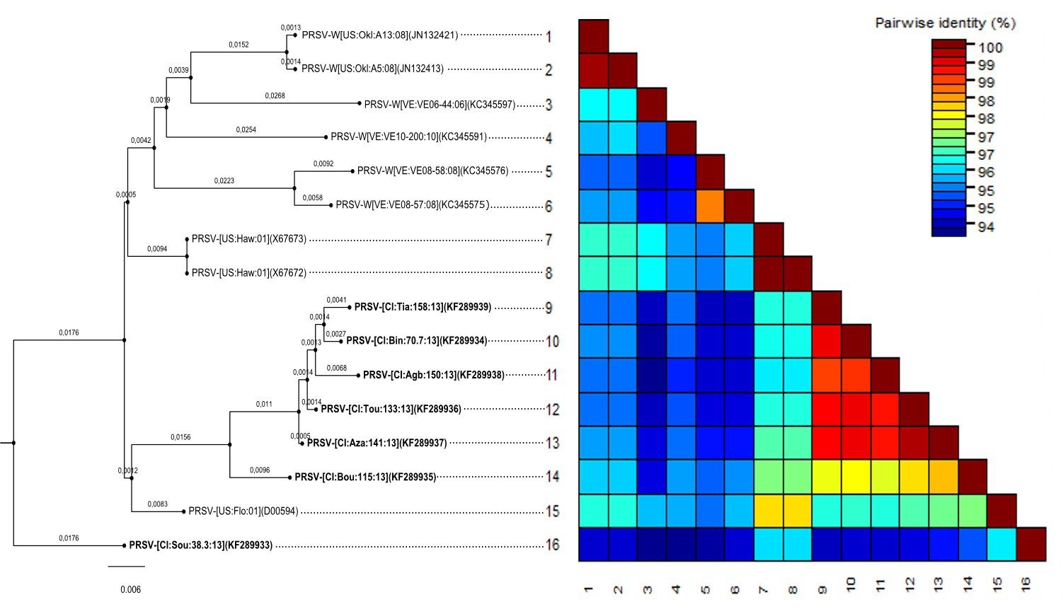 Figure 4 Maximum likelihood Phylogenetic Tree And Color coded Matrix