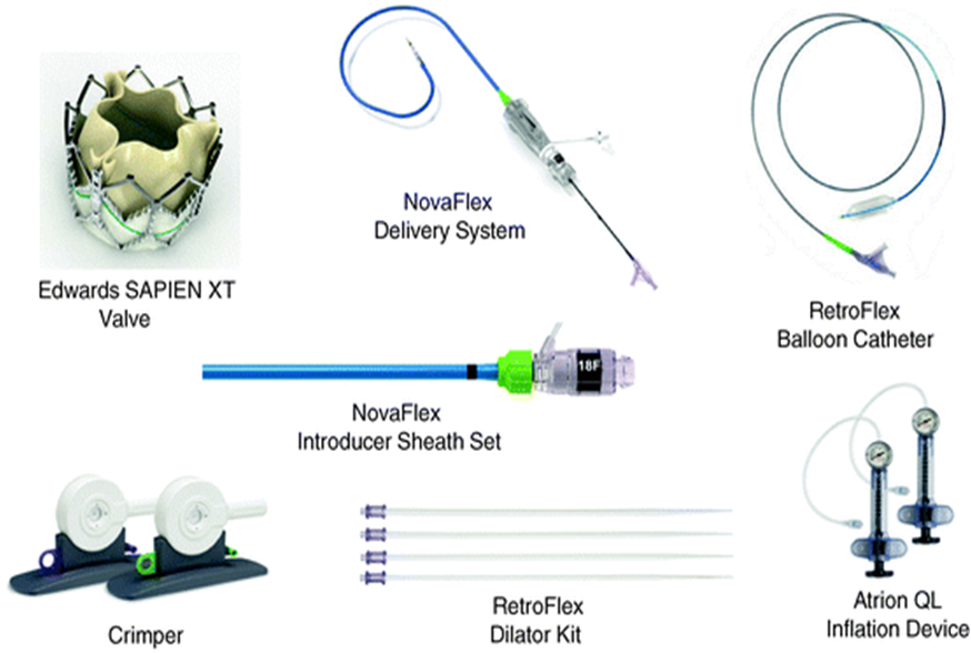Figure 7. Equipment used for TAVR : Updates in Transcatheter Aortic ...