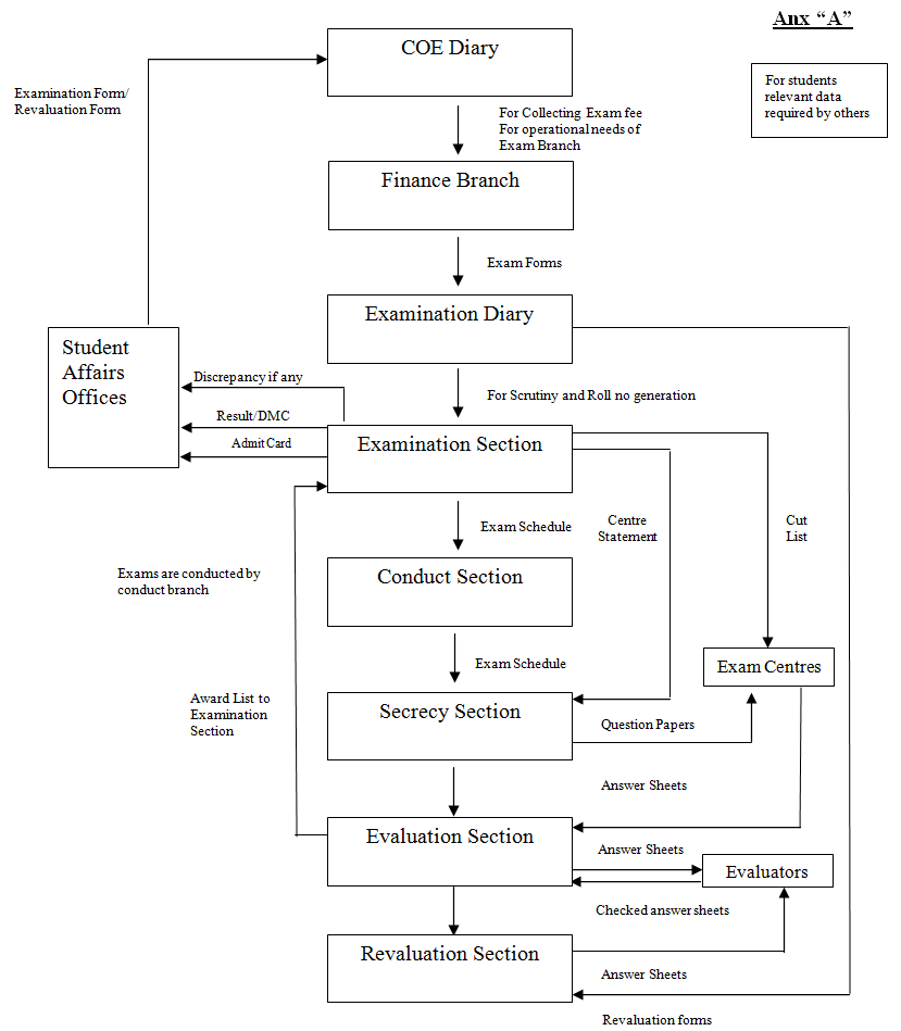Figure 1. Organization of Manual Examination System : Role of ...