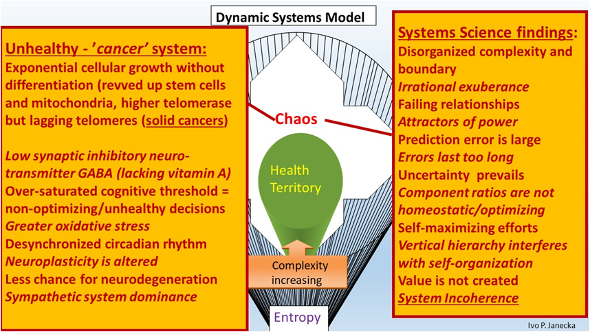 Figure 1c. Characteristics of biologic systems when in chaos - a ...