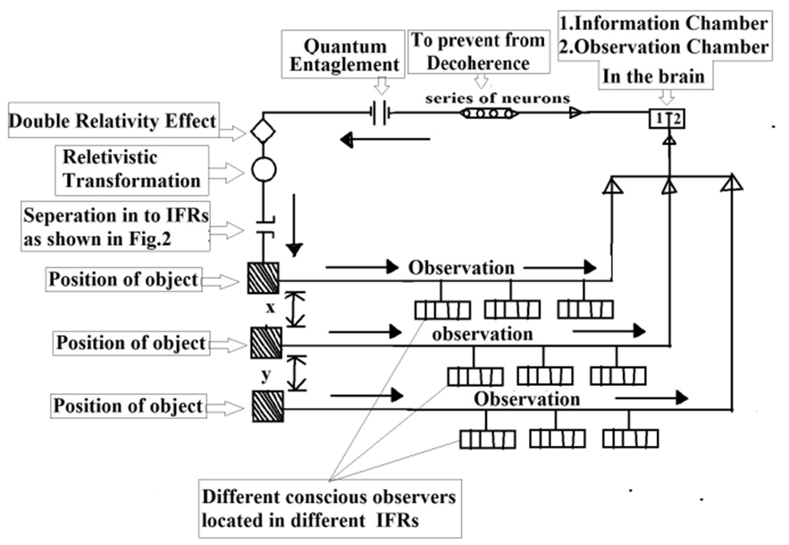 Figure 6. Relativity & Consciousness Process of information ...