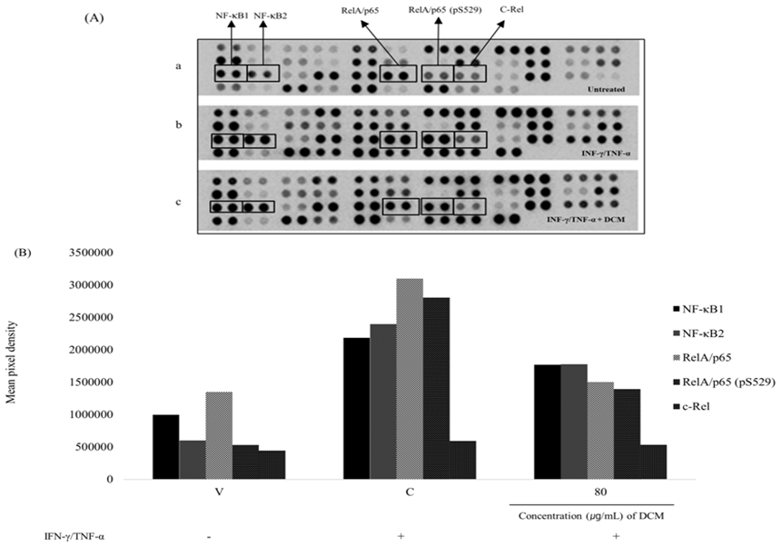 Figure 4. Effect of DCM fraction on the expression level of AD related ...