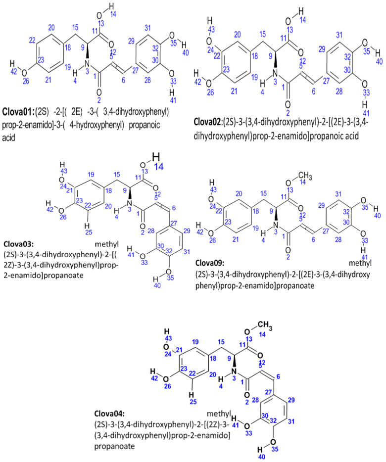Figure 2. 2D numbered structures of the five isolated Clovamides and ...