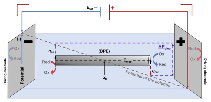 Figure 4. Potential curve at a bipolar electrode in the electric field ...