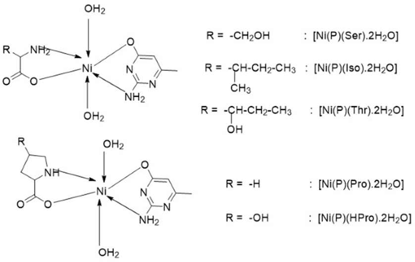 Figure 2. The structure of Ni (II) complexes : An Innovative Method ...