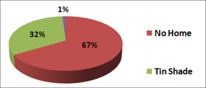 Child Labour Pie Chart