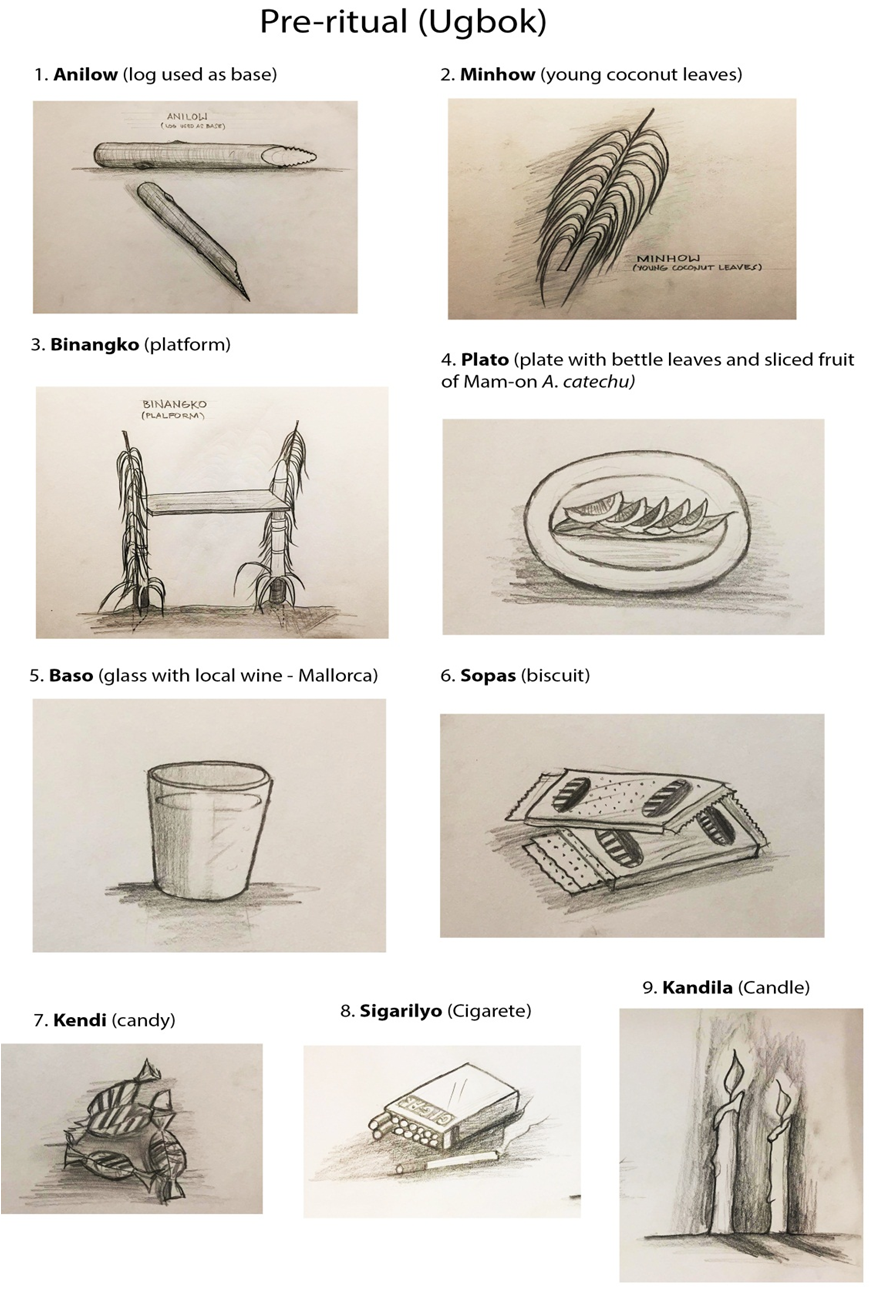 Figure 2. Materials used in the pre-ritual (ugbok) : Uyagdok ...